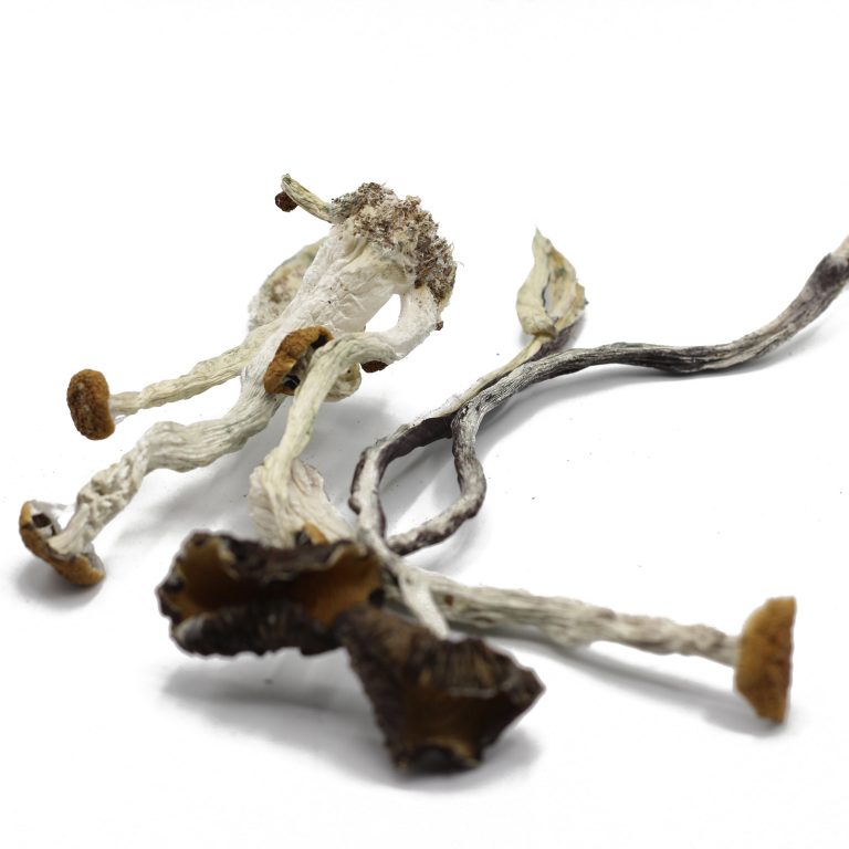 Buy Weed Online in Canada | THC & CBD Gummies | Shrooms | CrazyCannabis