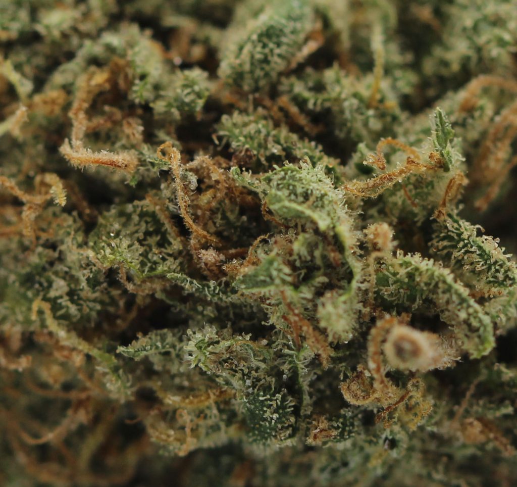 Zkittlez (AA) - $2.93/gram - Crazycannabis Online Dispensary Canada ...