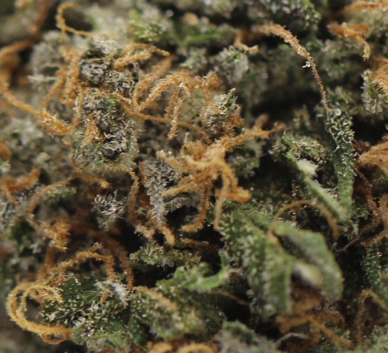 ATF Smalls (AAA) $3.79/gram - Crazycannabis Online Dispensary Canada ...