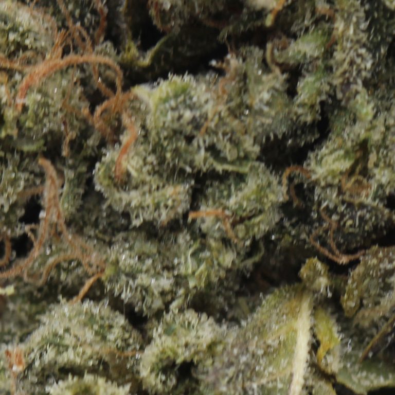 Home of Crazy Cannabis - Crazycannabis Online Dispensary Canada | Buy ...