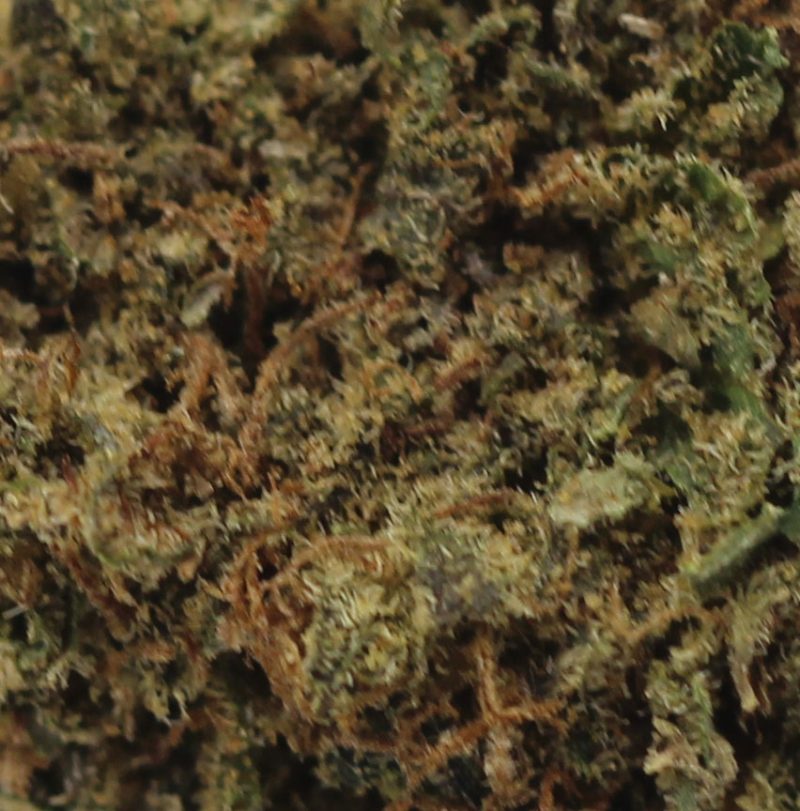 Home of Crazy Cannabis - Crazycannabis Online Dispensary Canada | Buy ...