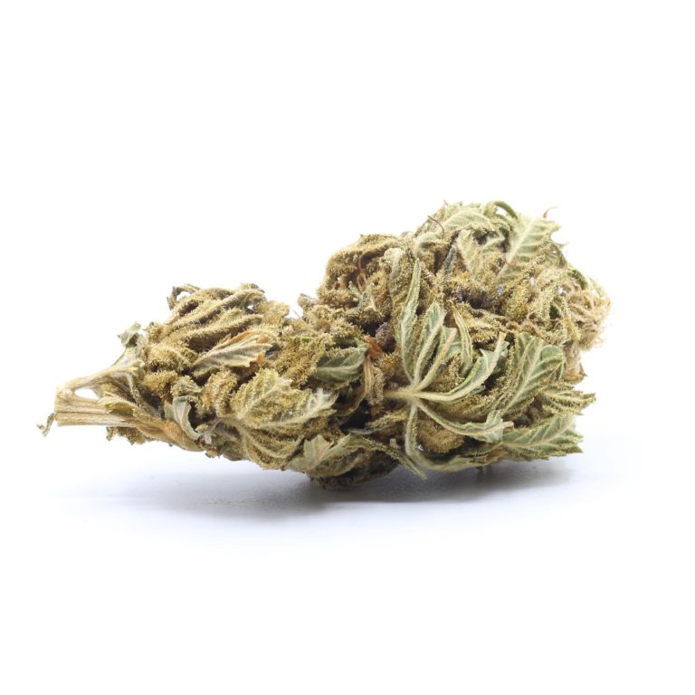 Poison OG (AA) $2.25/gram - Crazycannabis Online Dispensary Canada ...