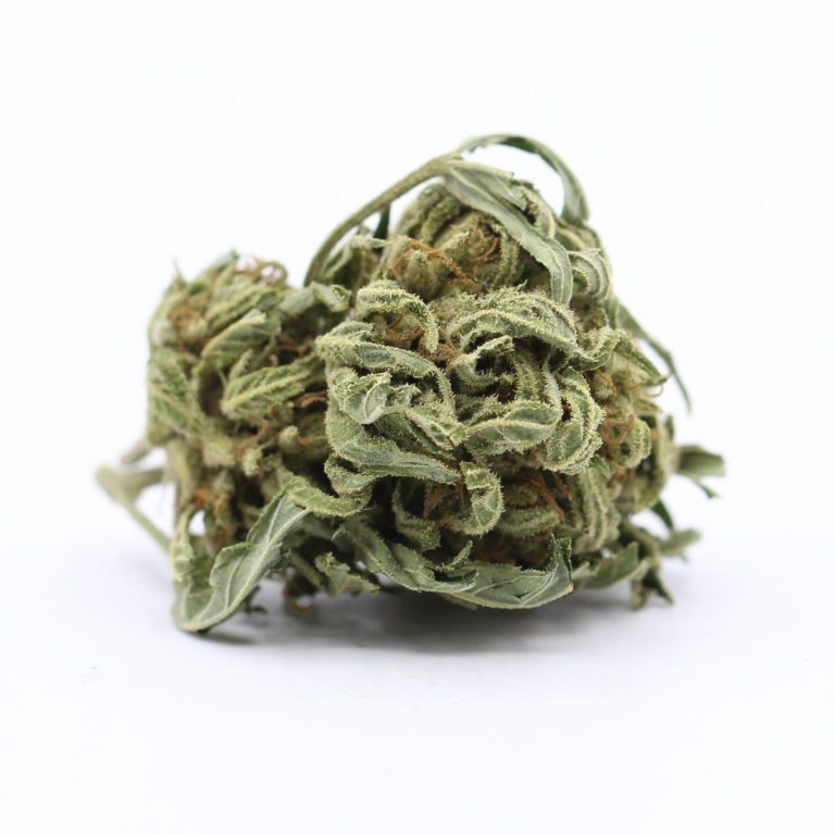 Purple OG Kush (AA) $2.46/gram - Crazycannabis Online Dispensary Canada ...