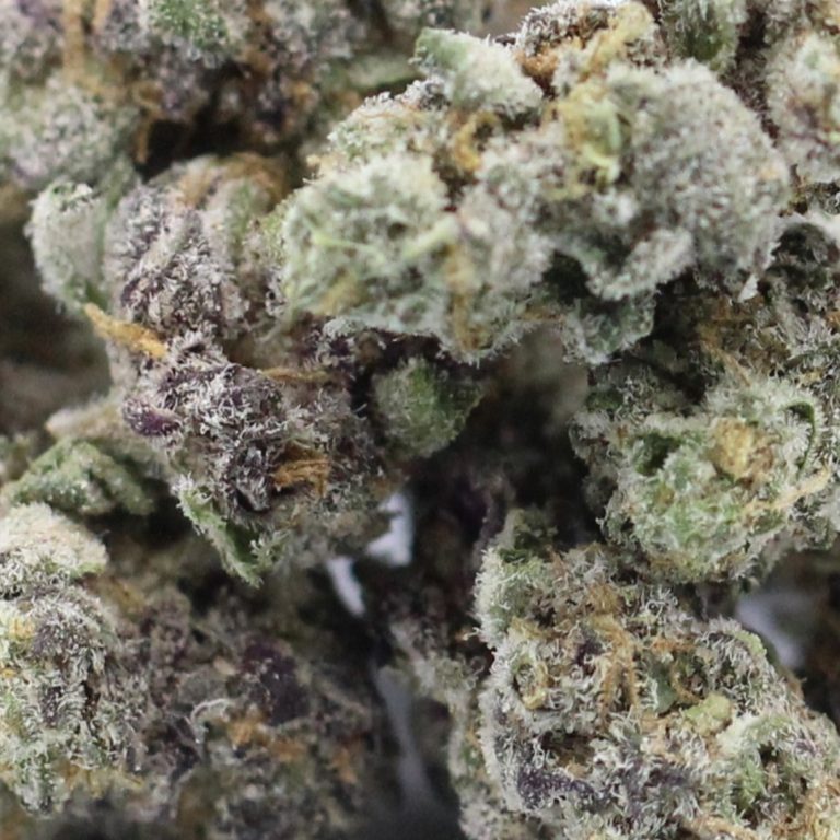 Home of Crazy Cannabis - Crazycannabis Online Dispensary Canada | Buy ...