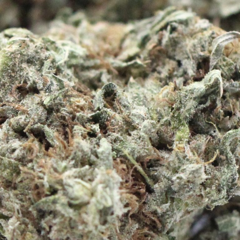 Home of Crazy Cannabis - Crazycannabis Online Dispensary Canada | Buy ...