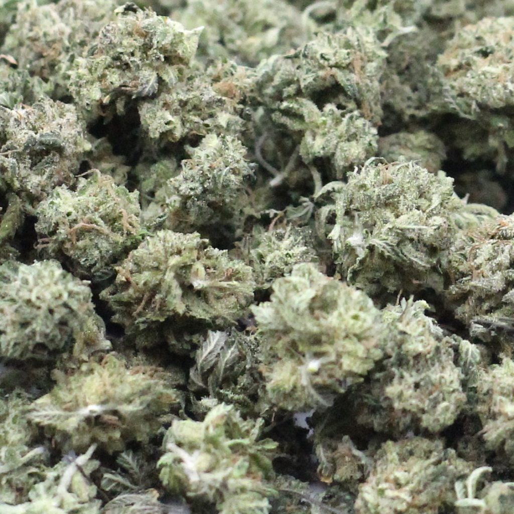 Home of Crazy Cannabis - Crazycannabis Online Dispensary Canada | Buy ...