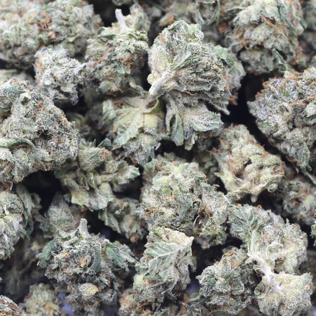 Home of Crazy Cannabis - Crazycannabis Online Dispensary Canada | Buy ...