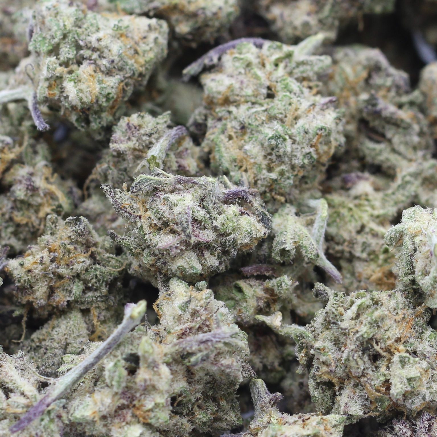 Home of Crazy Cannabis - Crazycannabis Online Dispensary Canada | Buy ...