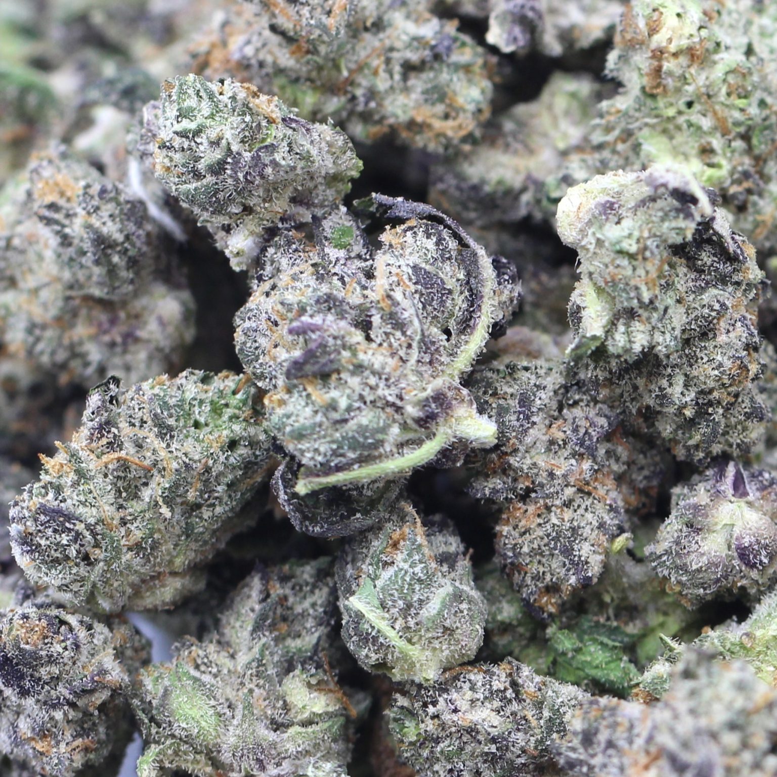 Home of Crazy Cannabis - Crazycannabis Online Dispensary Canada | Buy ...