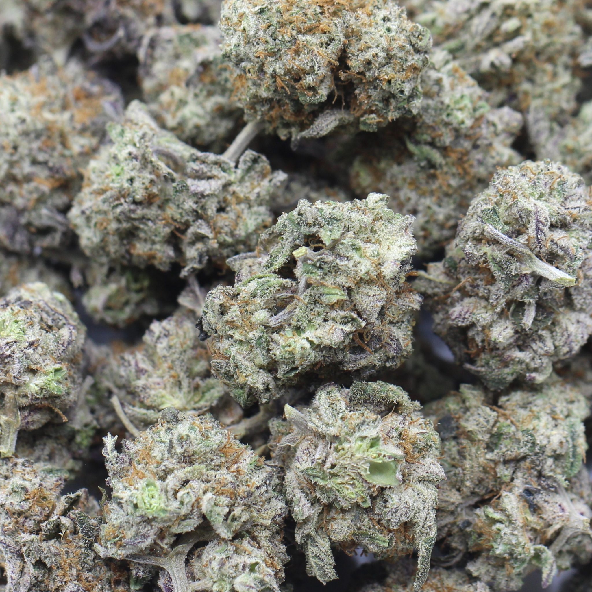 Home of Crazy Cannabis - Crazycannabis Online Dispensary Canada | Buy ...