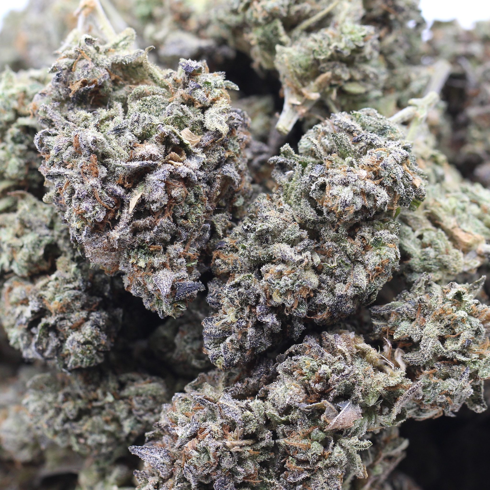 Home of Crazy Cannabis - Crazycannabis Online Dispensary Canada | Buy ...